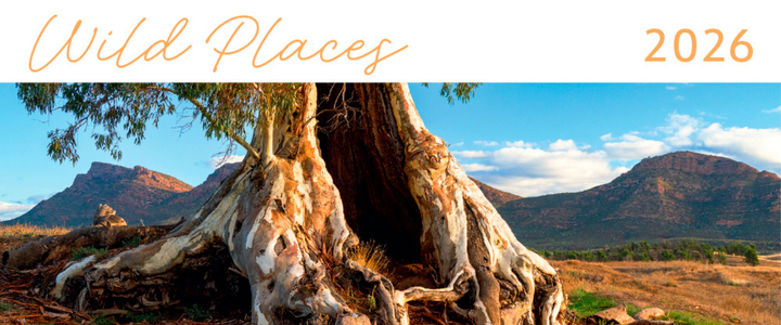 12 Nature Calendars That Bring the Wild to Your Wall — Calendar Club