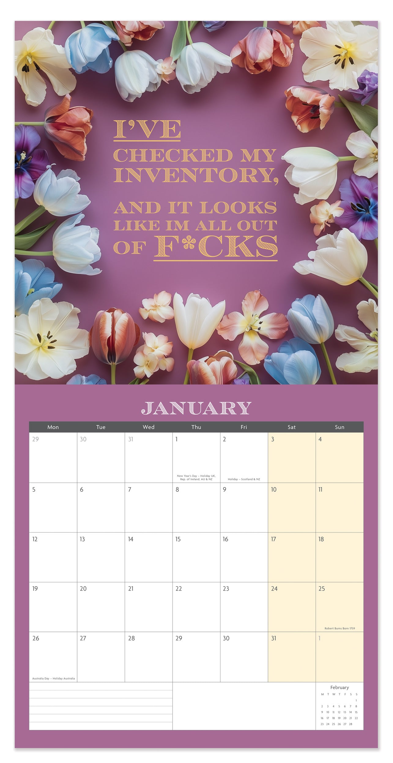 2026 Funny, Weird, & Adult Humour Calendars | Calendar Club