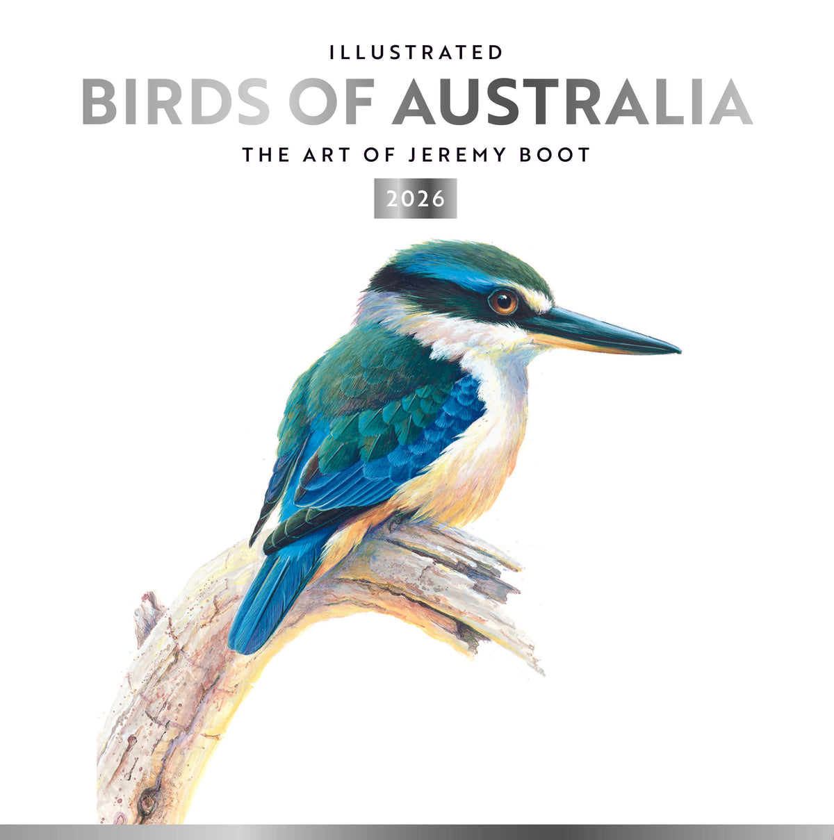 Calendar Club | Birds of Australia Jeremy Boot 2026 Square Wall Calendar