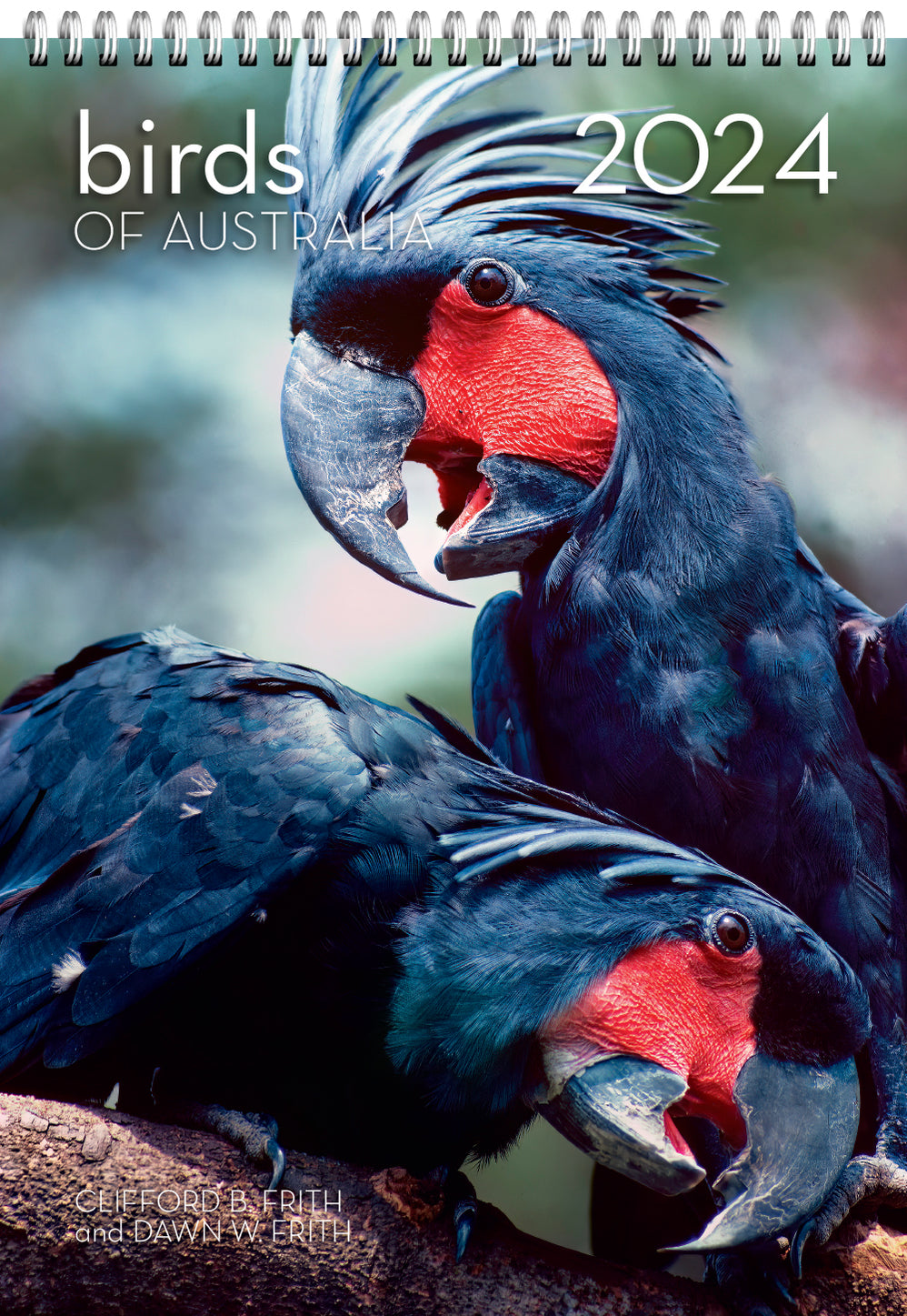 Shop 2024 Australiana Calendars Online | Calendar Club