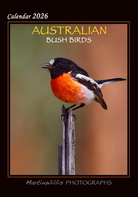 Calendar Club | Australian Bush Birds 2026 Wall Calendar
