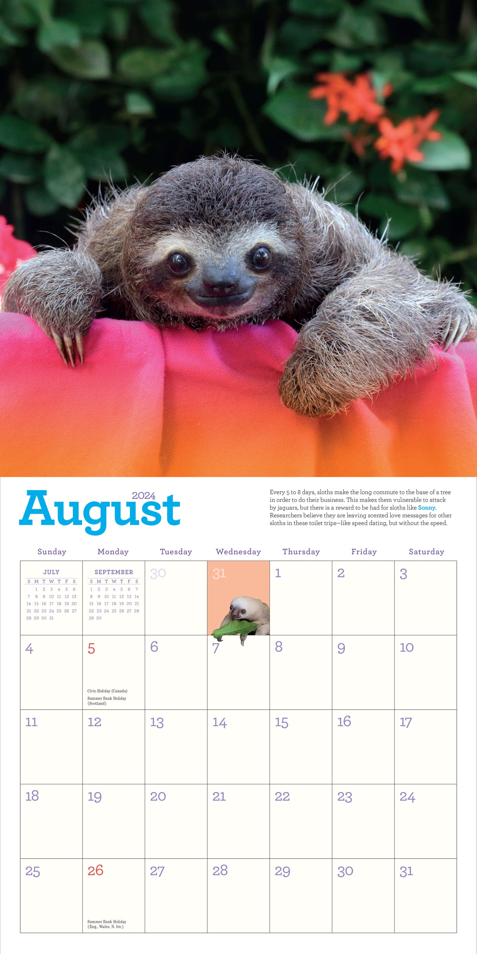 Shop 2024 Animal-Themed Calendars Online | Calendar Club