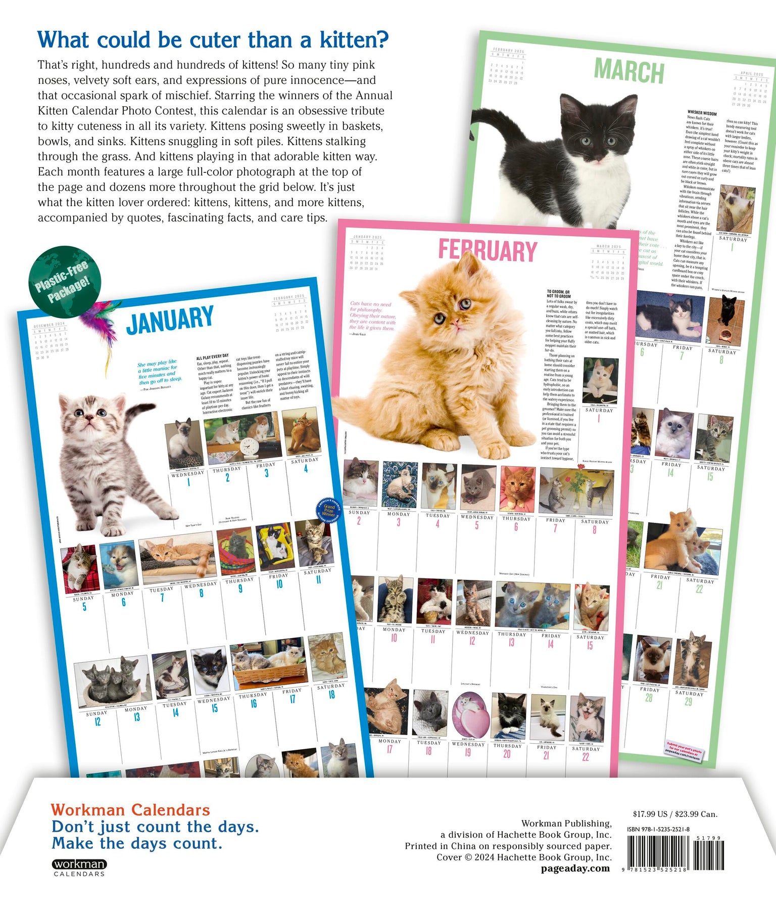 Shop 2025 Cats and Kittens Calendars Online | Calendar Club
