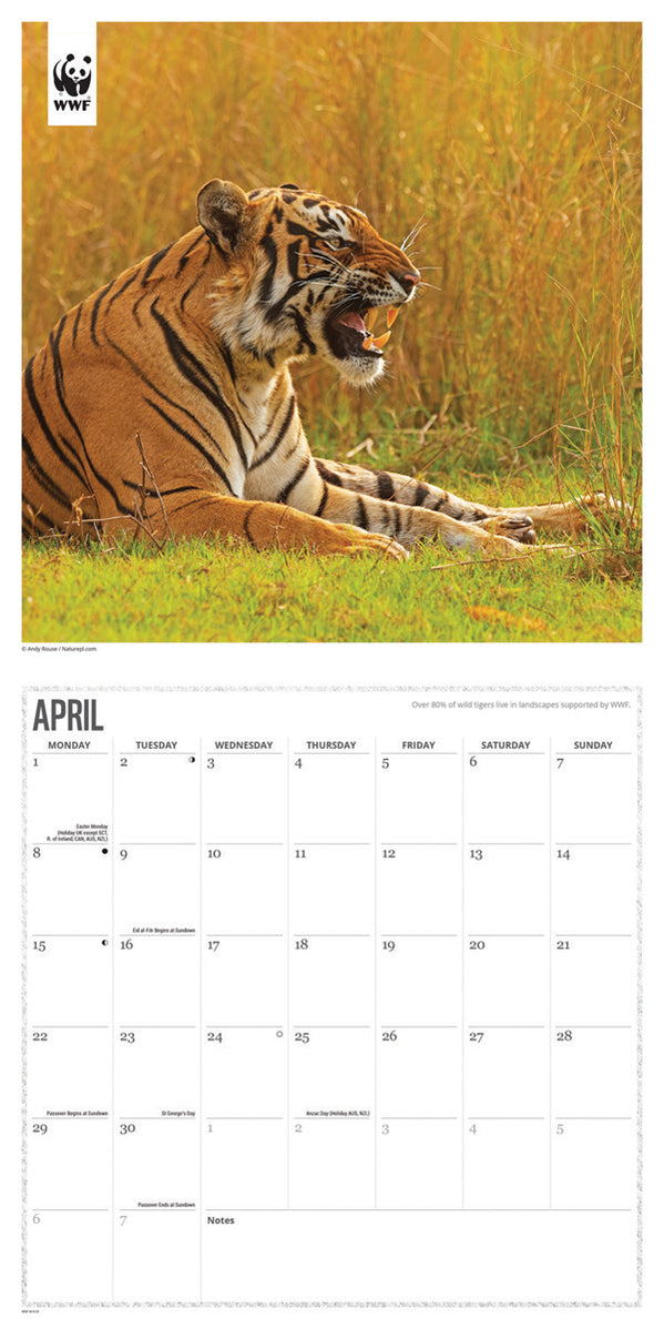 Shop 2024 Animal-Themed Calendars Online | Calendar Club