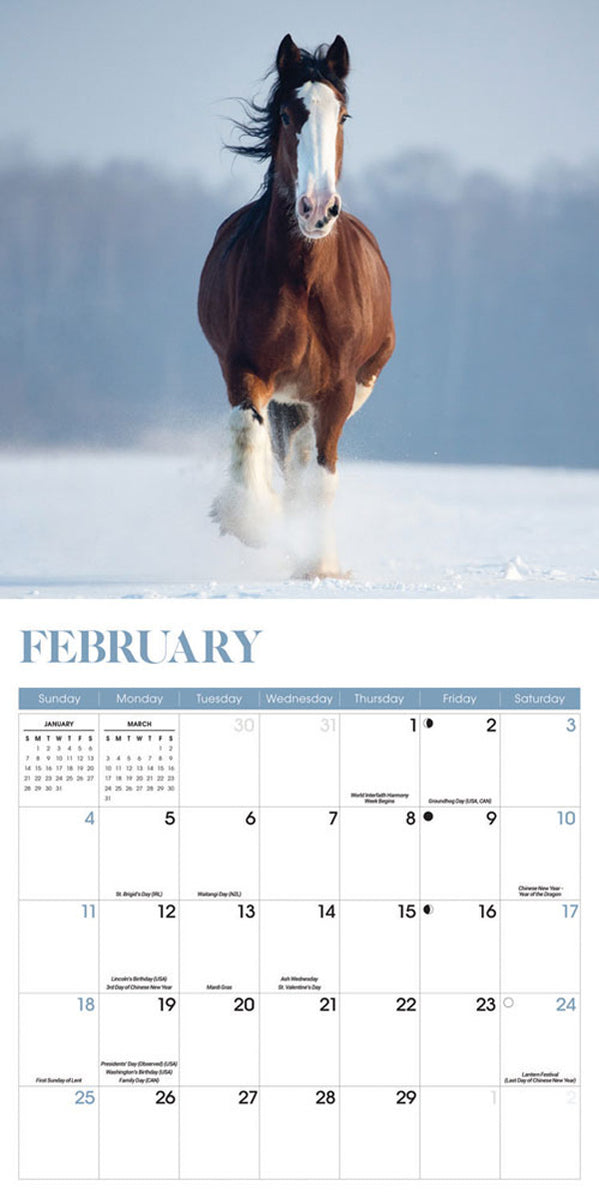 Shop 2024 Animal-Themed Calendars Online | Calendar Club
