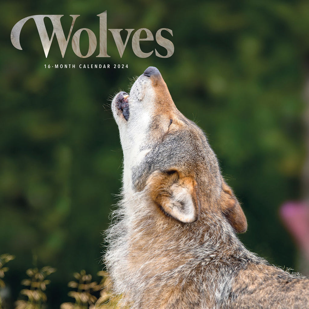 Shop 2024 Animal-Themed Calendars Online | Calendar Club