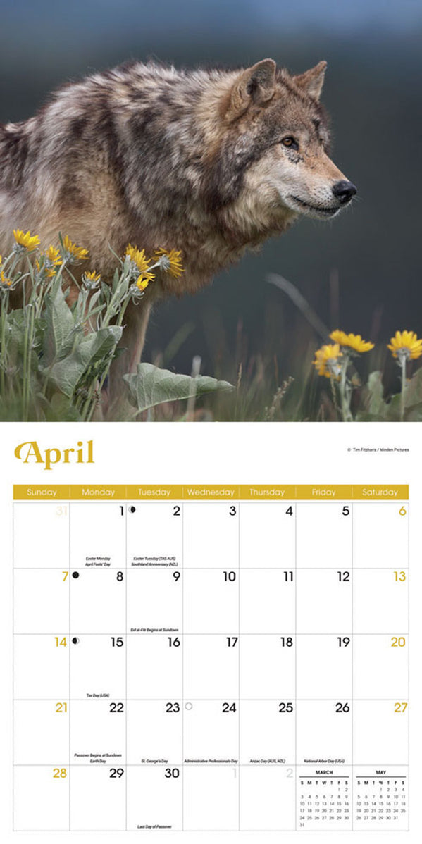 Shop 2024 Animal-Themed Calendars Online | Calendar Club