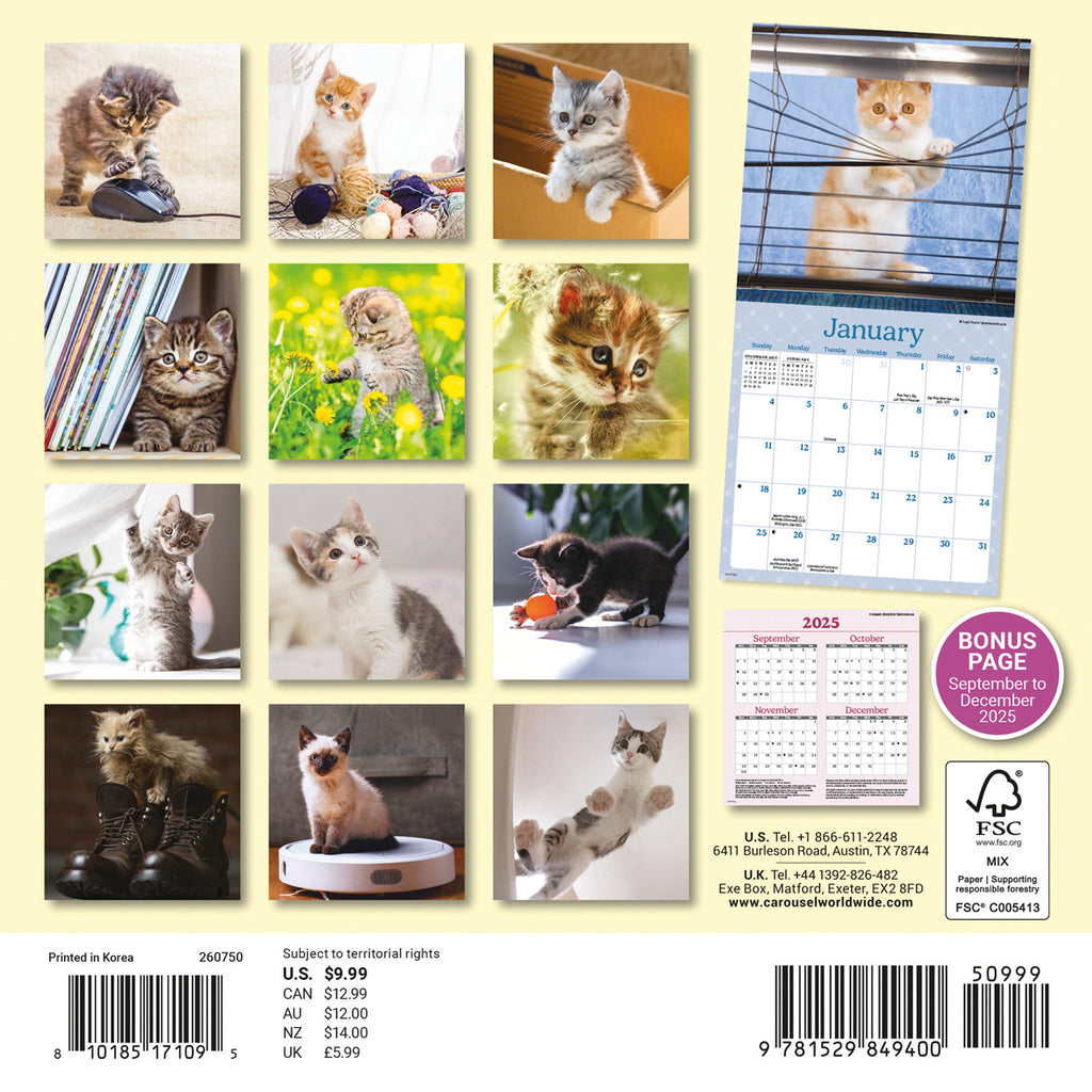 Shop 2026 Cat and Kitten Calendars Online | Calendar Club