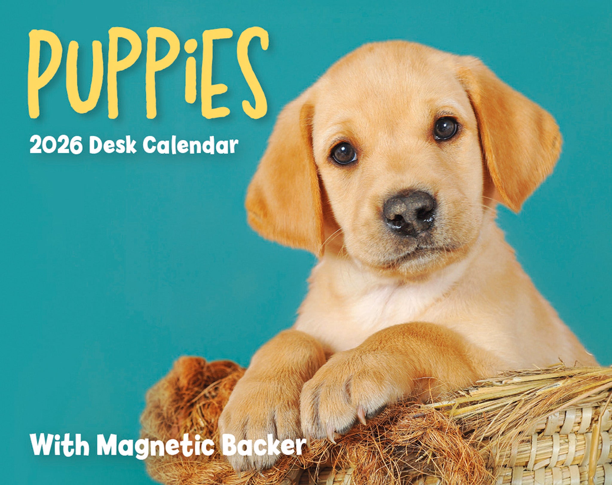 Shop 2026 Magnetic Calendars Online | Calendar Club