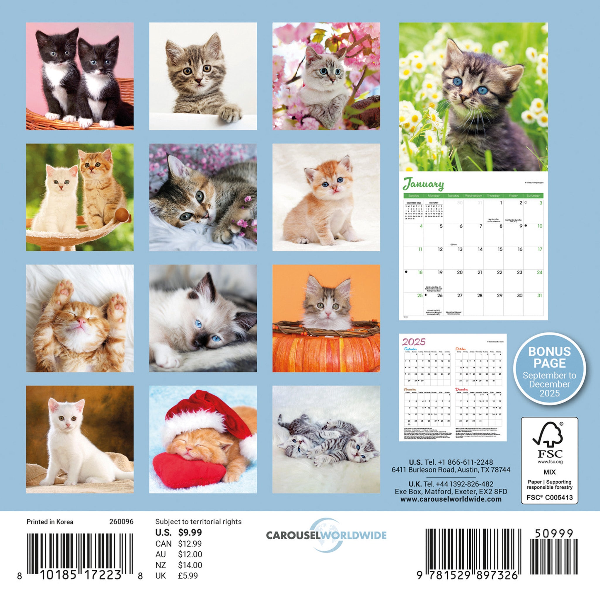 Shop 2026 Cat and Kitten Calendars Online | Calendar Club