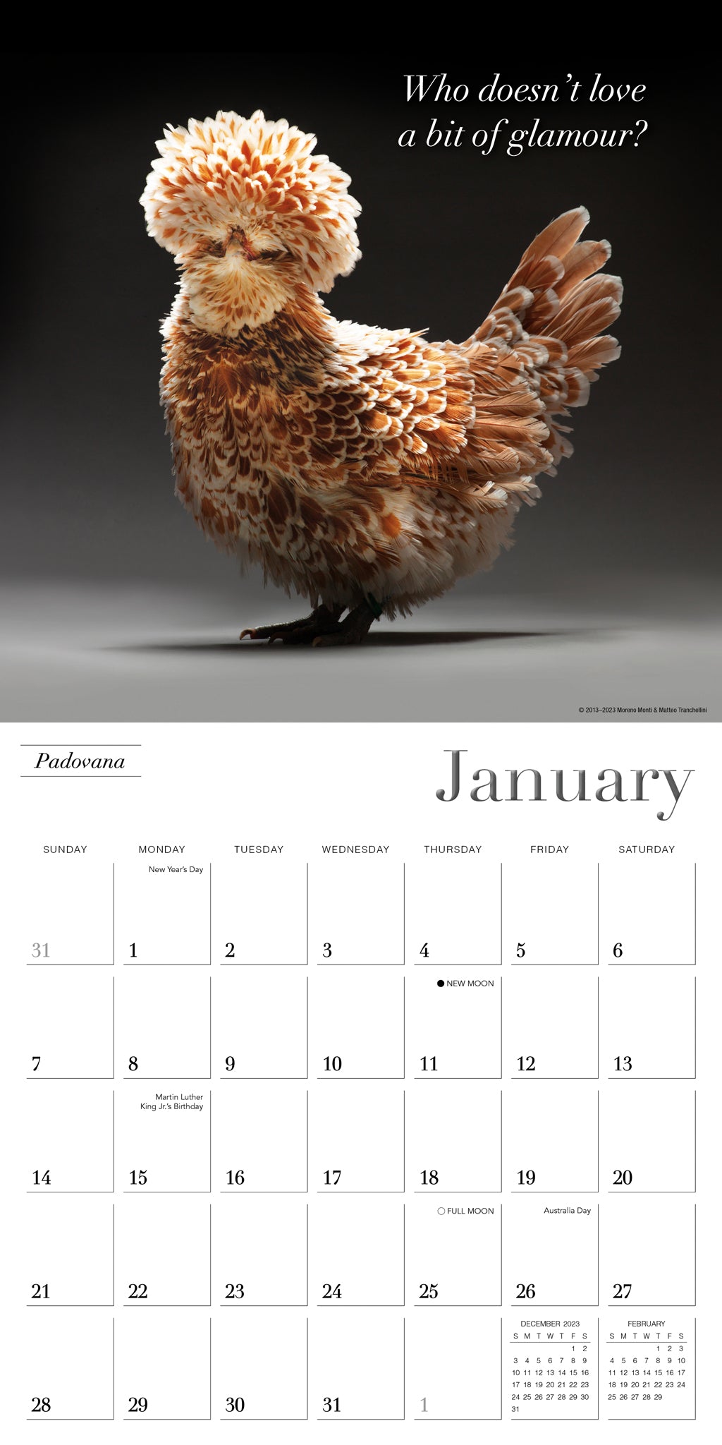 Shop 2024 Model Calendars Online | Calendar Club