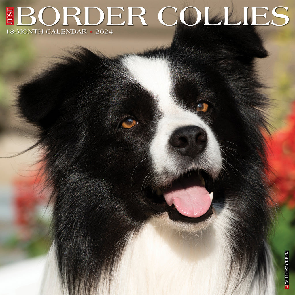 Shop 2024 Dog Calendars Online | Calendar Club