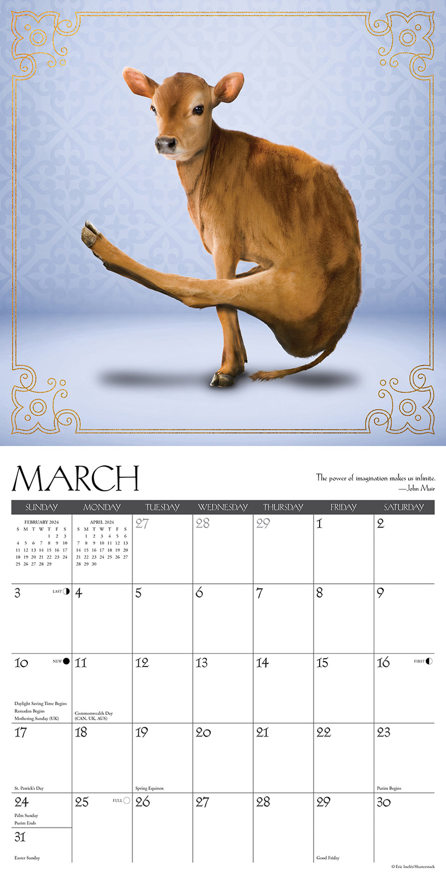 Shop 2024 Animal-Themed Calendars Online | Calendar Club