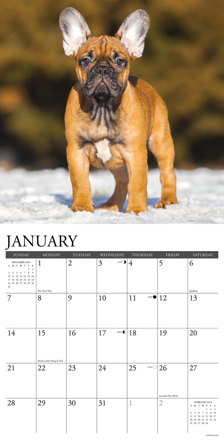 Shop 2024 Dog Calendars Online | Calendar Club