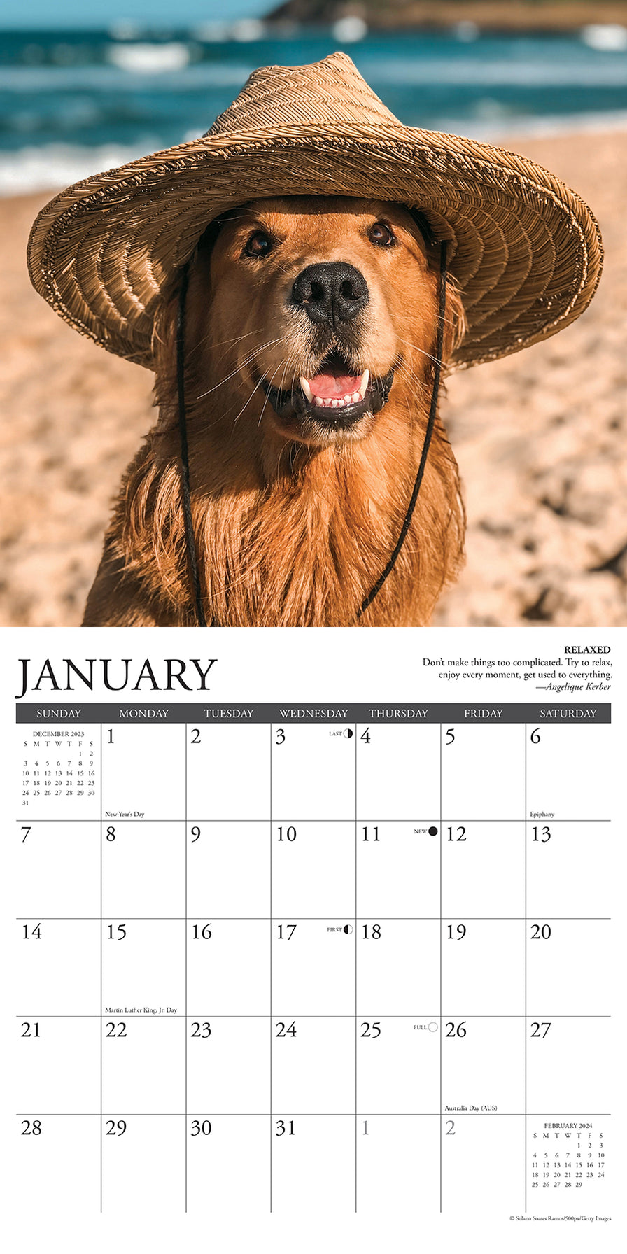 Shop 2024 Dog Calendars Online | Calendar Club