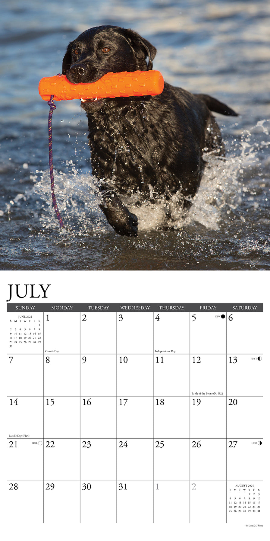 Shop 2024 Dog Calendars Online | Calendar Club