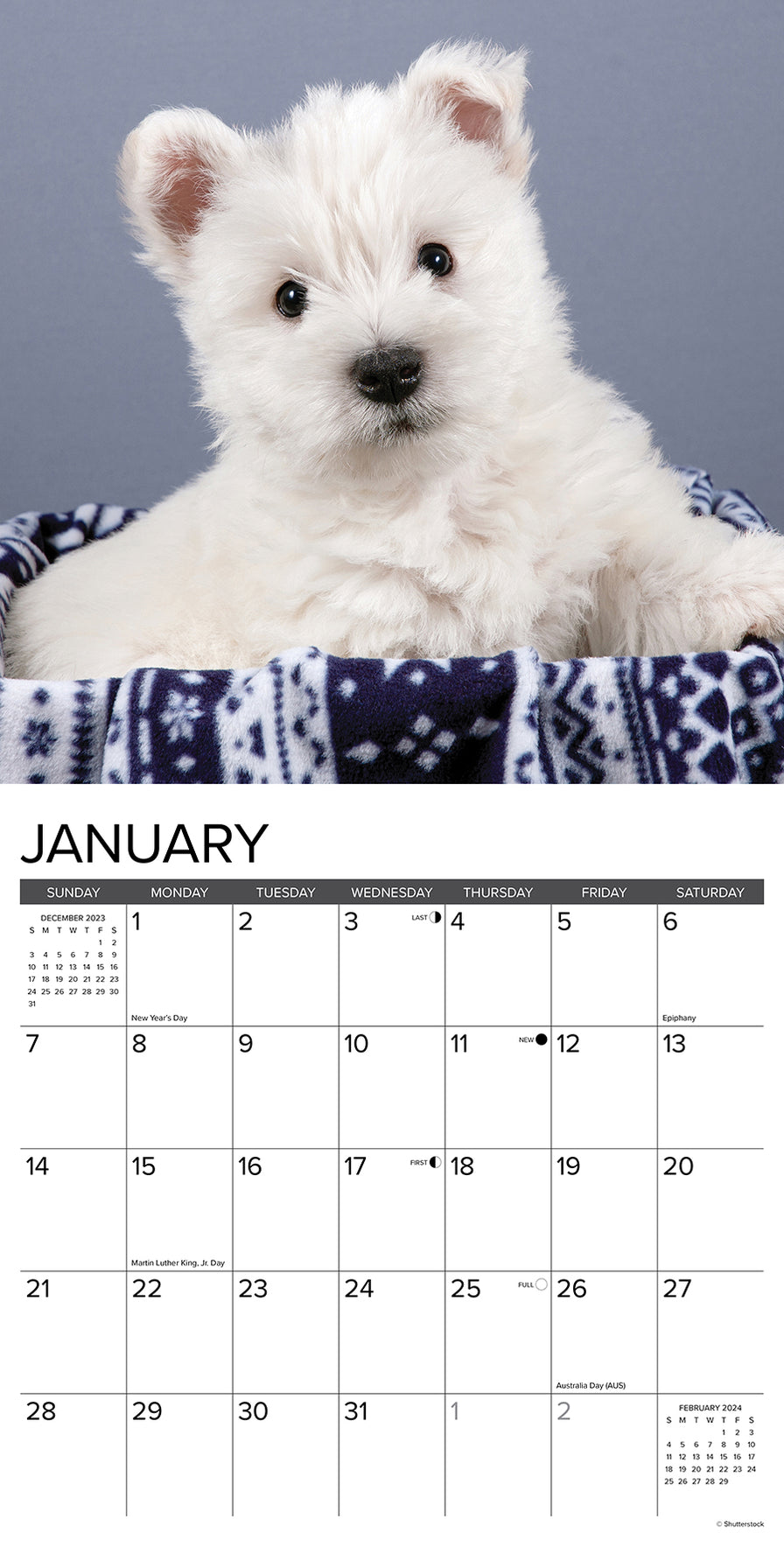 Shop 2024 Dog Calendars Online | Calendar Club