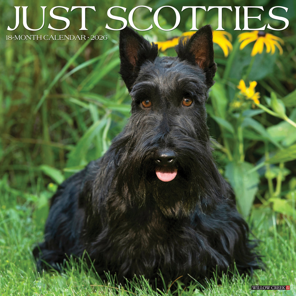Calendar Club | Scotties 2026 Square Wall Calendar