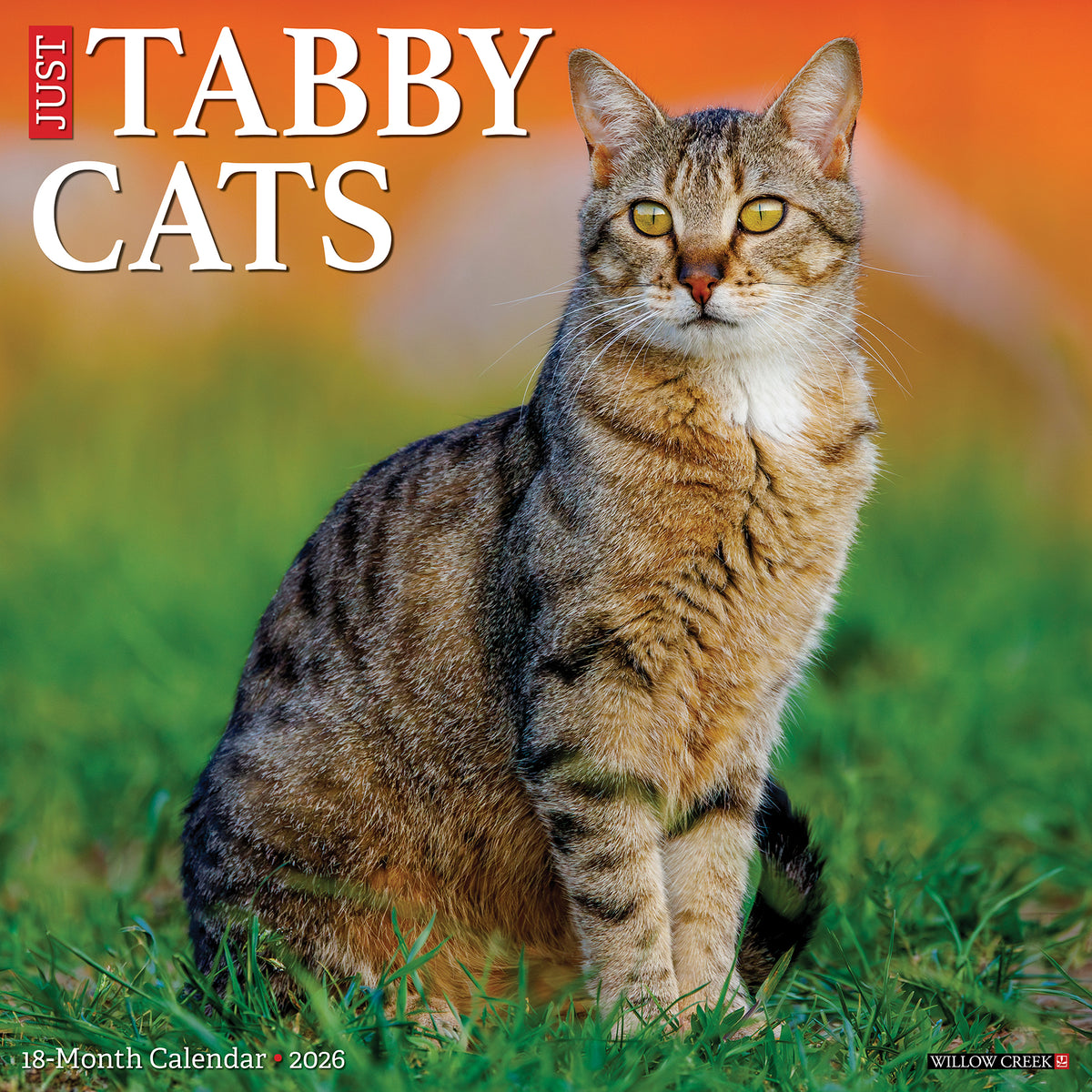 Calendar Club | Tabby Cats 2026 Square Wall Calendar