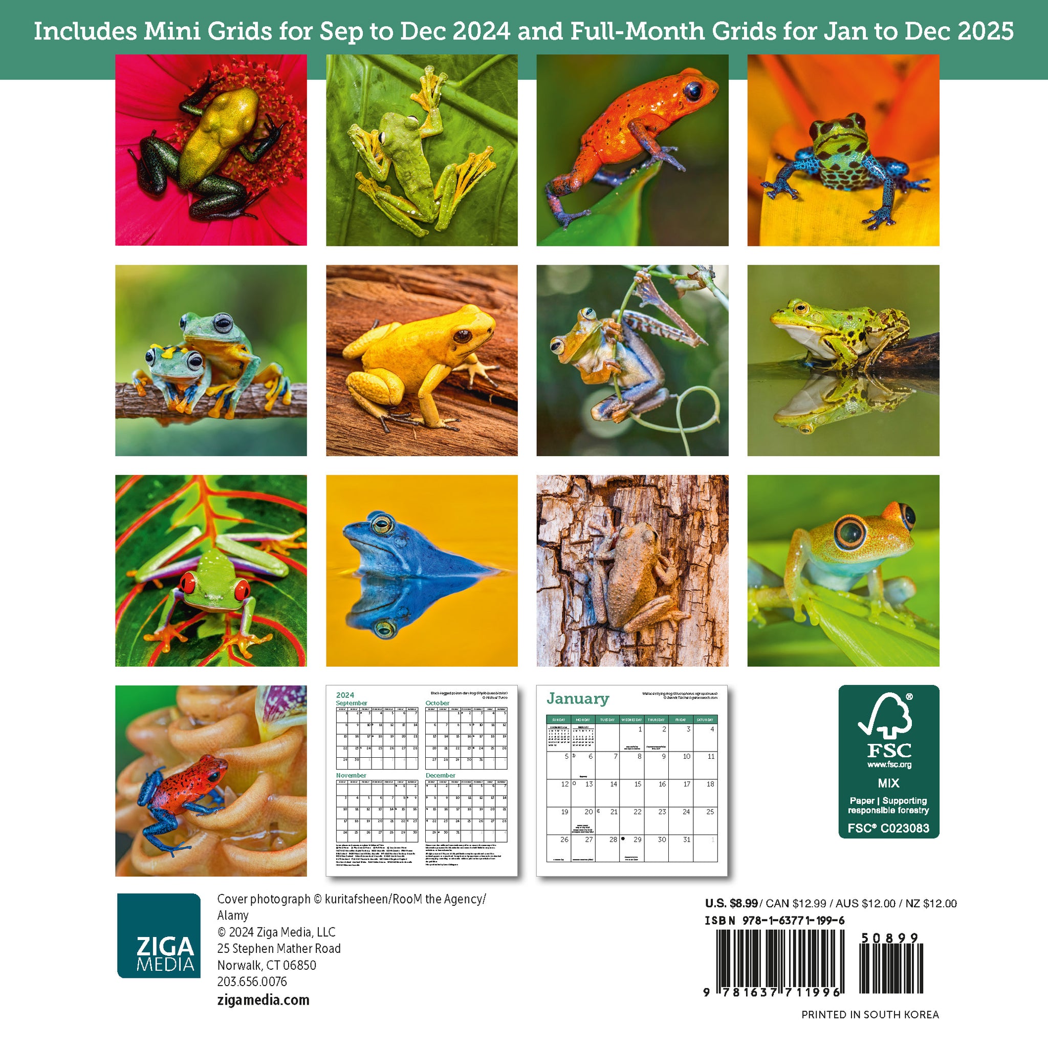 Shop 2025 Animal-Themed Calendars Online | Calendar Club