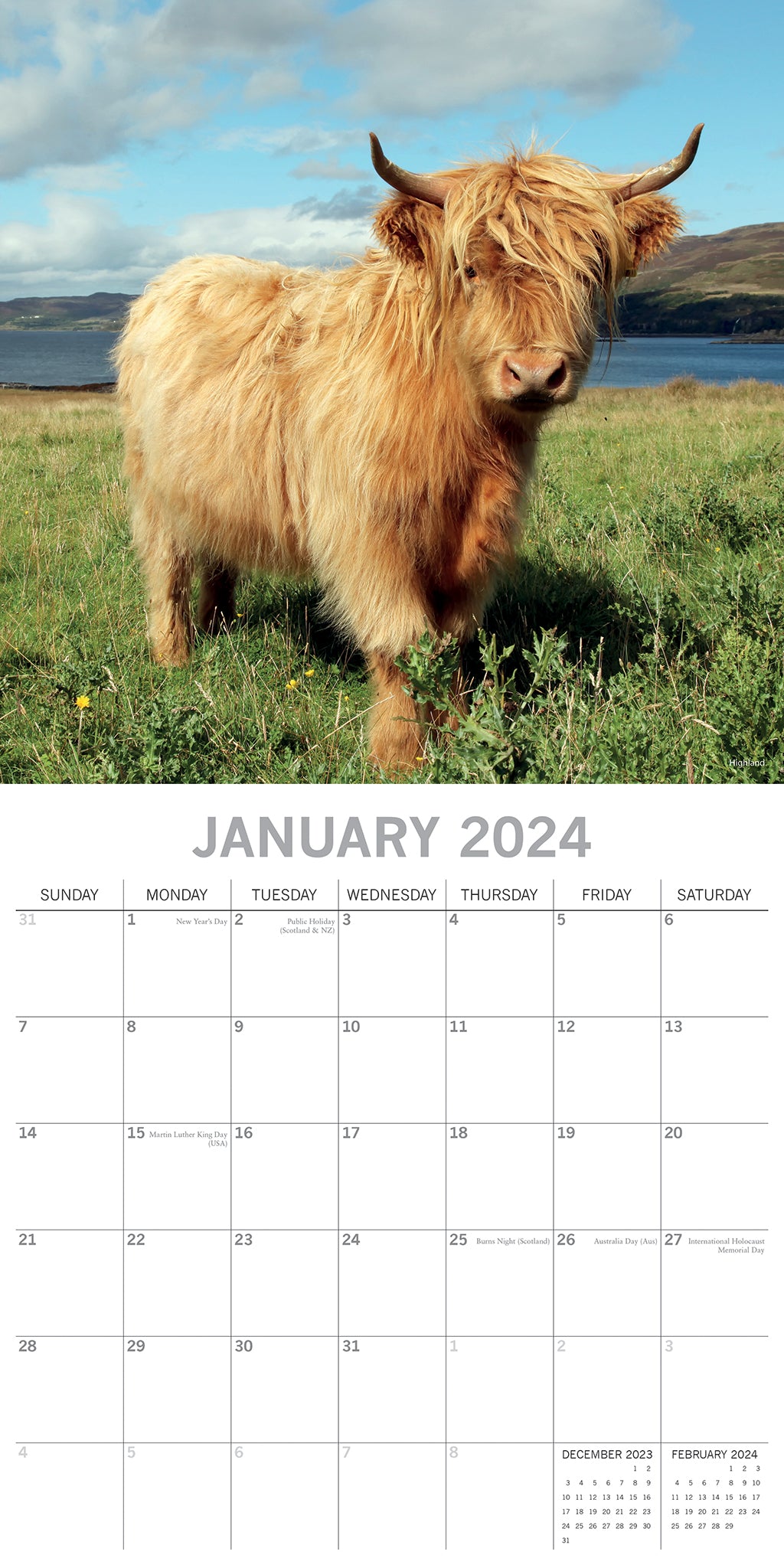 Shop 2024 Animal-Themed Calendars Online | Calendar Club