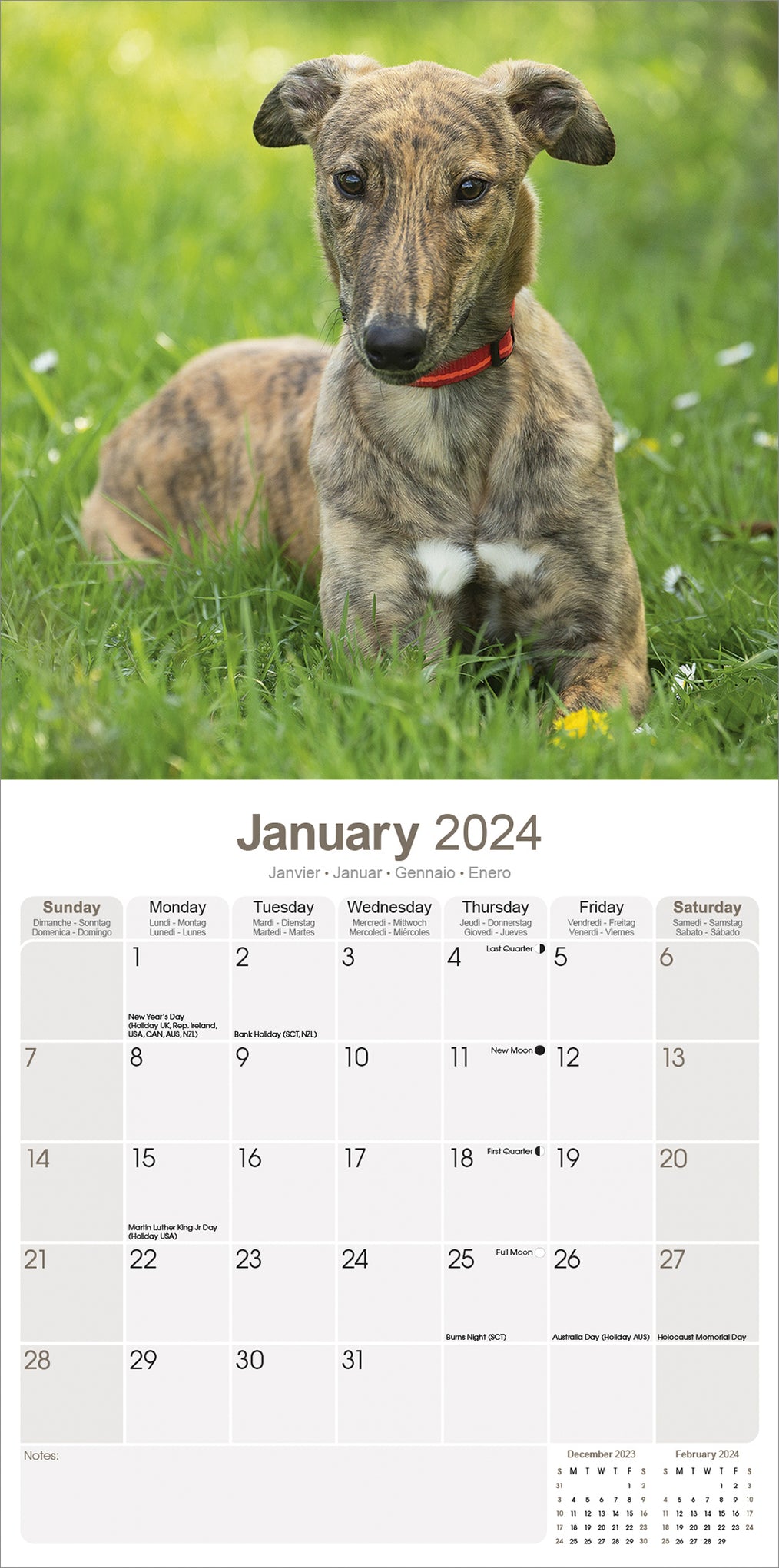 Shop 2024 Dog Calendars Online | Calendar Club