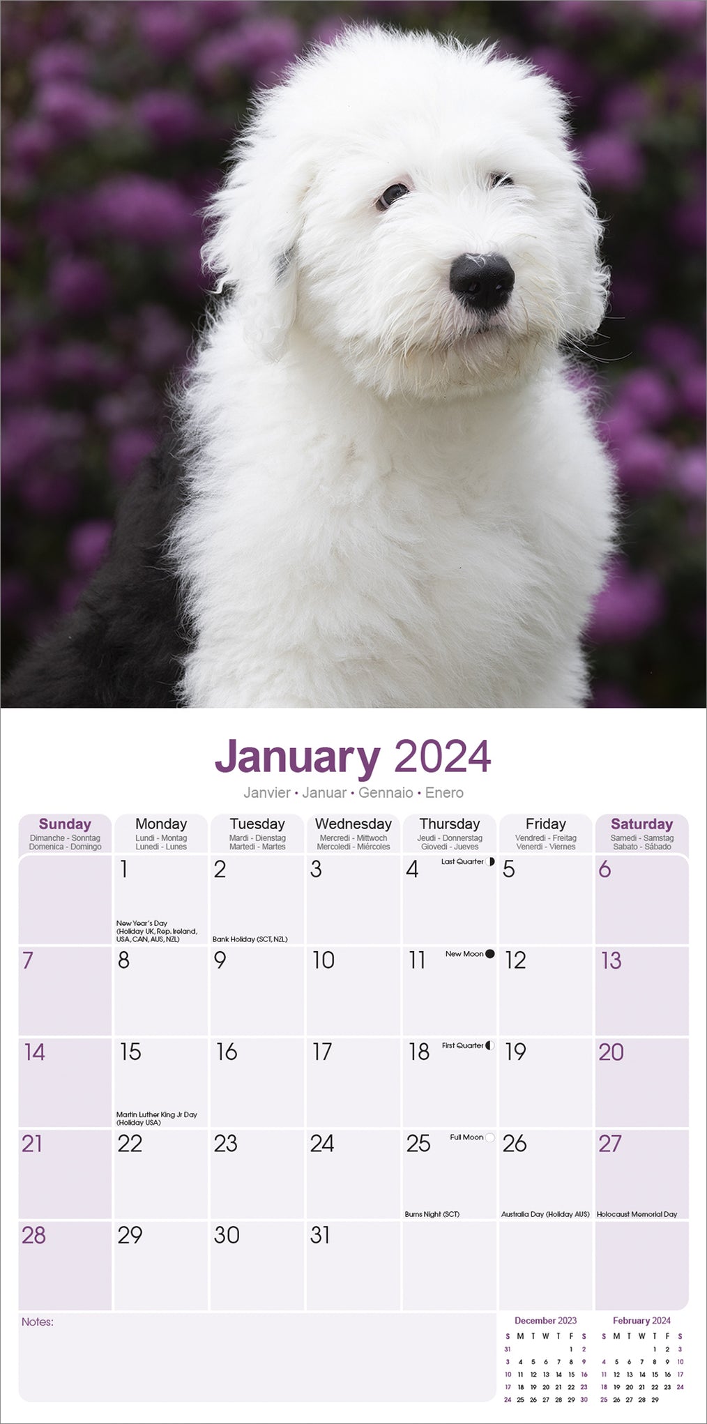 Shop 2024 Dog Calendars Online | Calendar Club