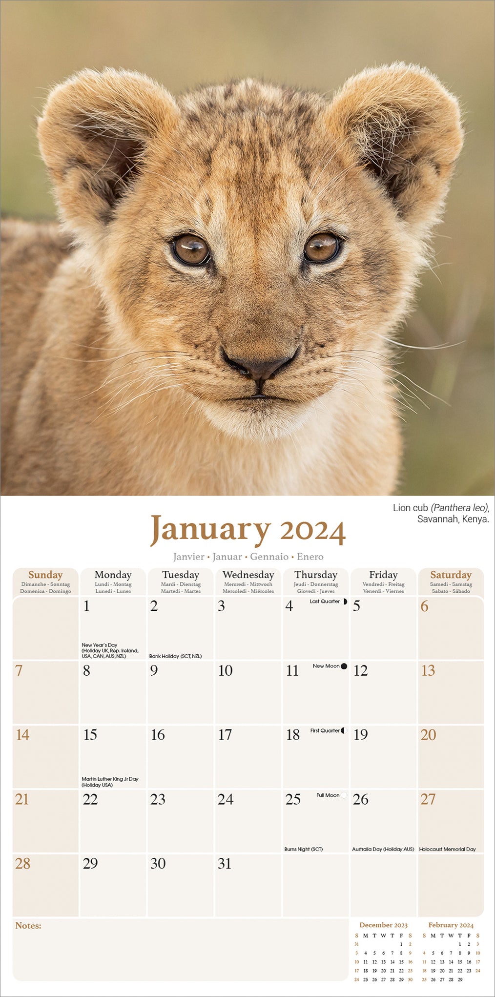 Shop 2024 Animal-Themed Calendars Online | Calendar Club