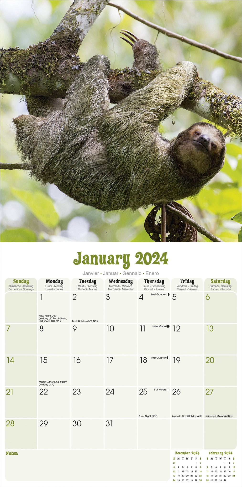 Shop 2024 Animal-Themed Calendars Online | Calendar Club