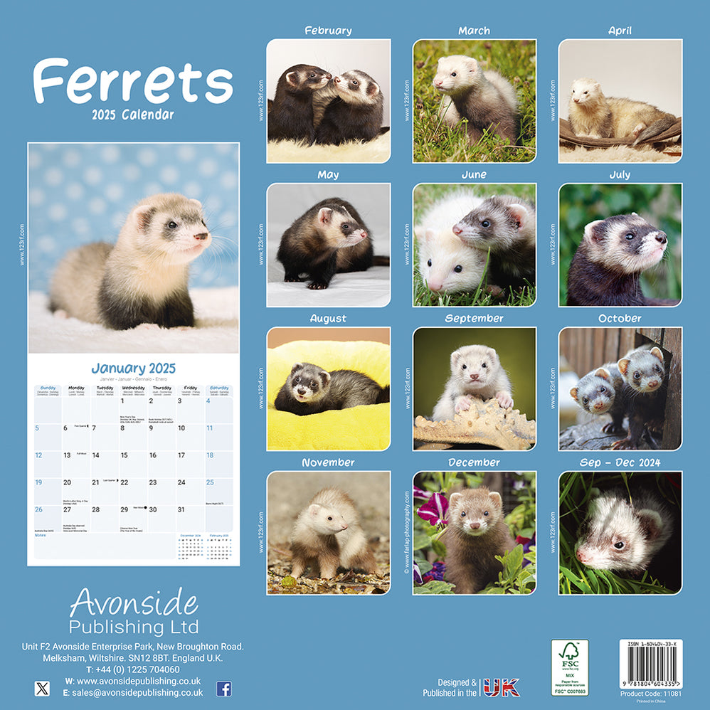 Shop 2025 Animal-Themed Calendars Online | Calendar Club
