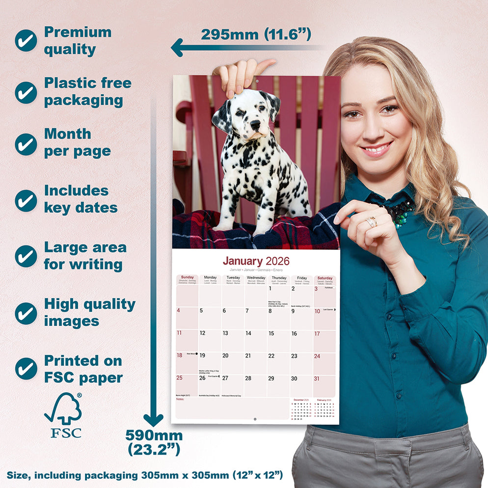Calendar Club | Dalmatian 2026 Square Wall Calendar