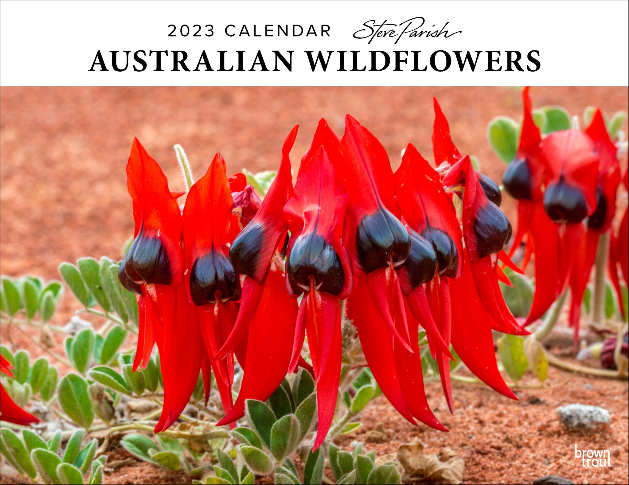 Shop Australiana Calendars Online & In-store — Calendar Club