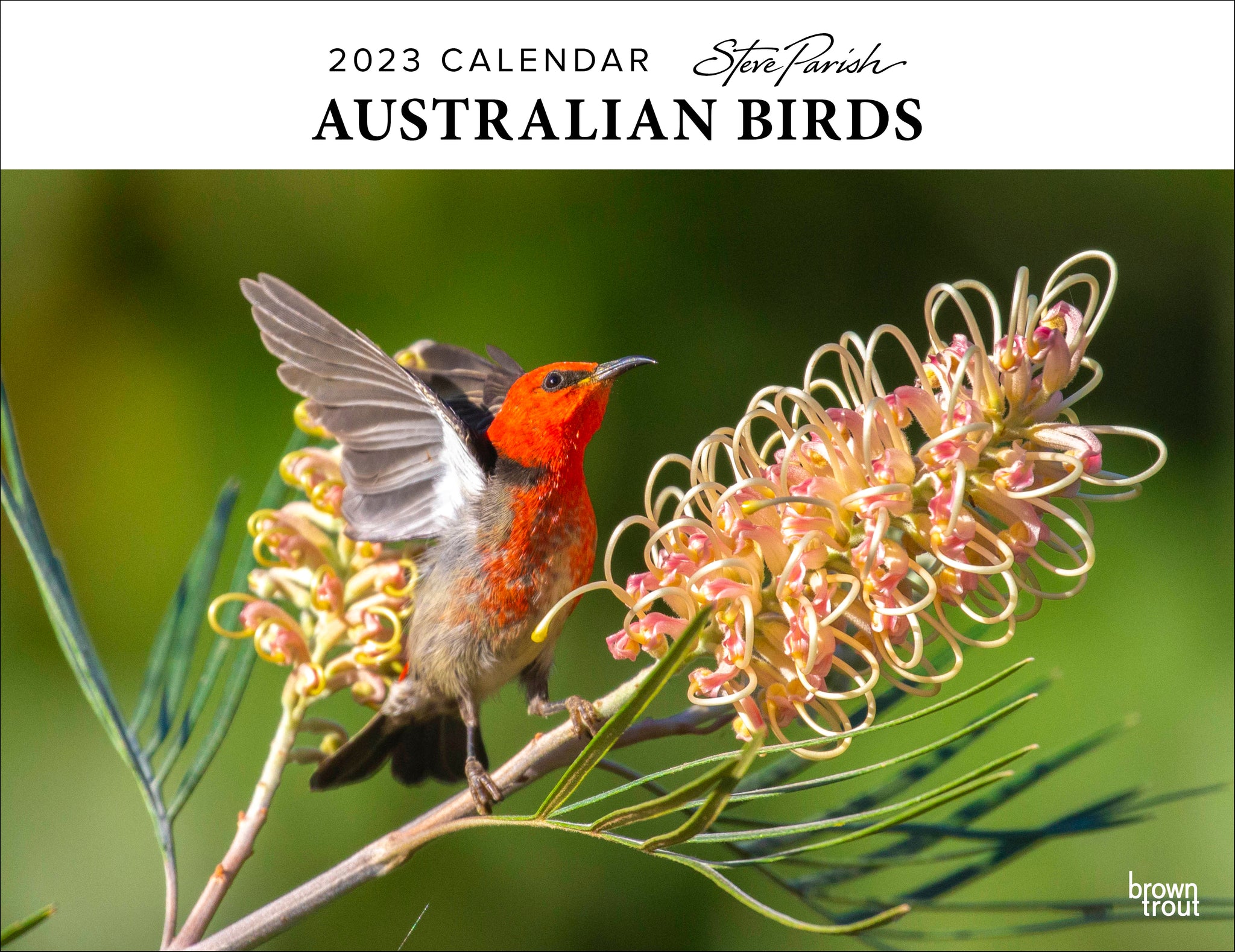 Shop Australiana Calendars Online & In-store — Calendar Club