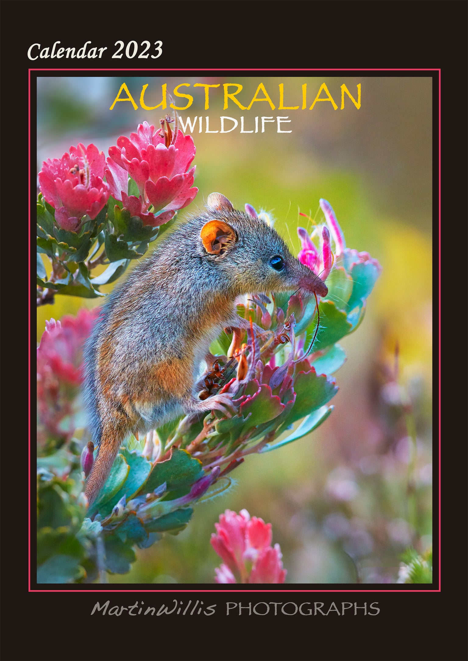 Buy Slimline Calendars Online & In-store — Calendar Club