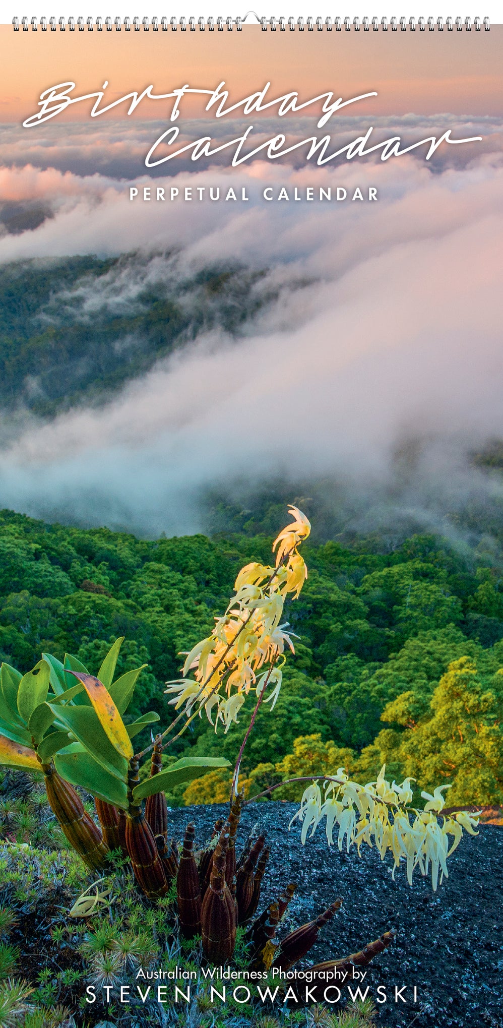 Buy Slimline Calendars Online & In-store — Calendar Club