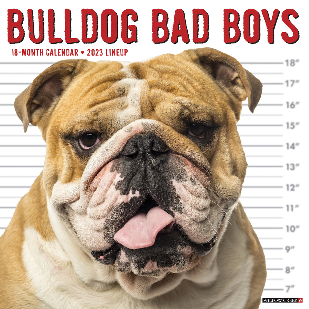 Shop Our Range of Dog Calendars Online & In-store — Calendar Club