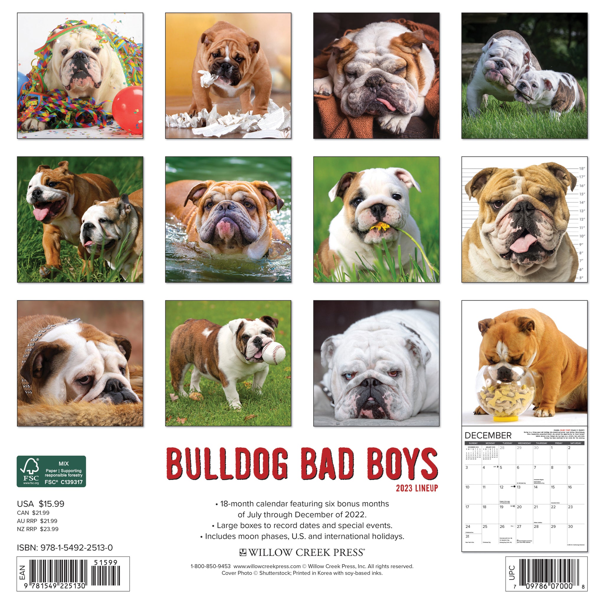 Shop Our Range of Dog Calendars Online & In-store — Calendar Club