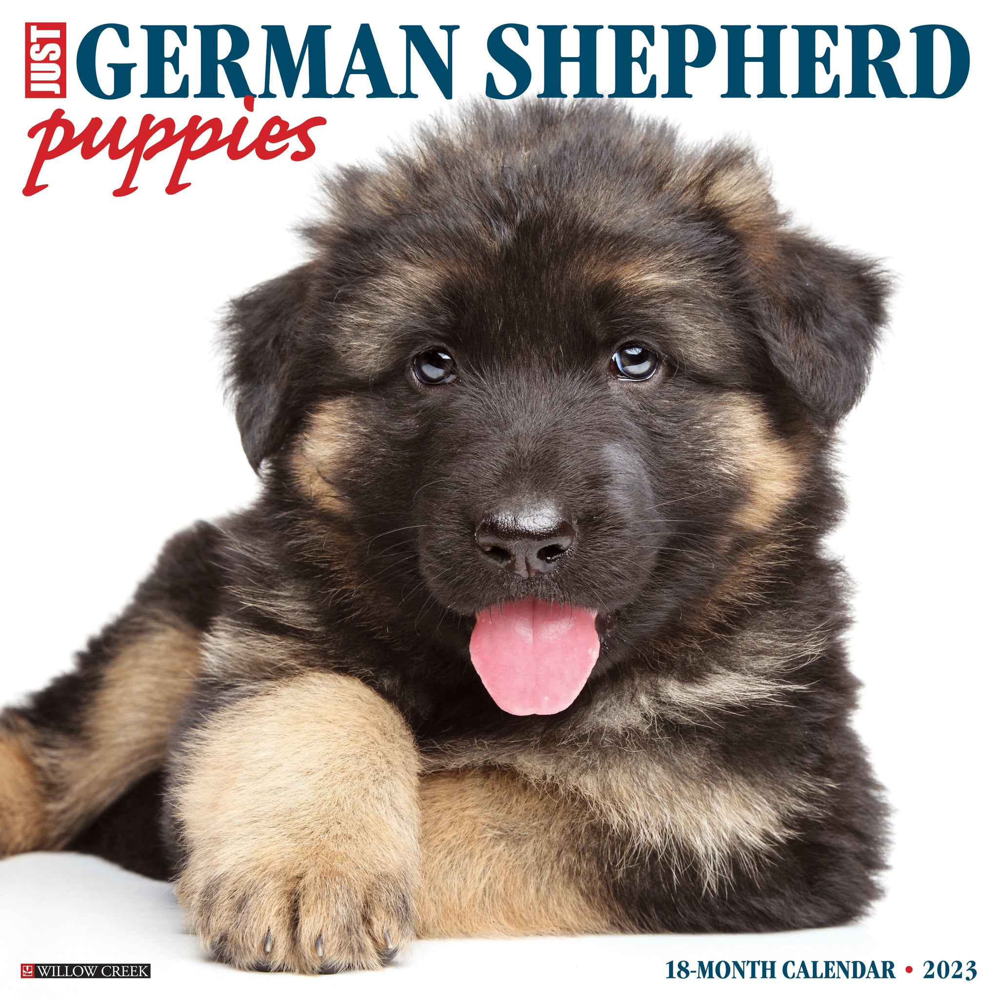 Shop Our Range of Dog Calendars Online & In-store — Calendar Club